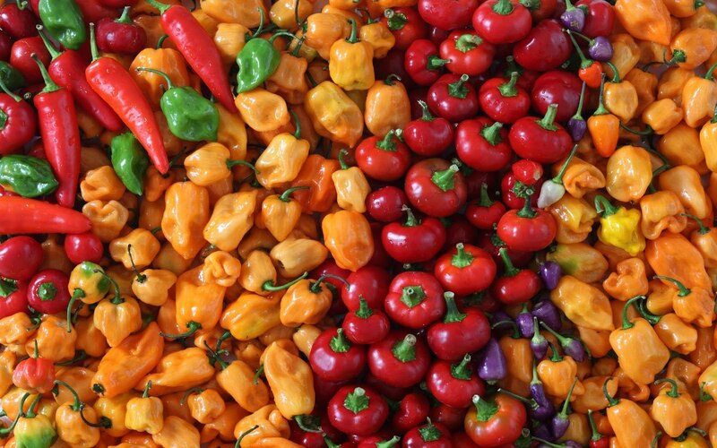 Scoville Scale Meaning Explained & Ranking of Peppers by Heat